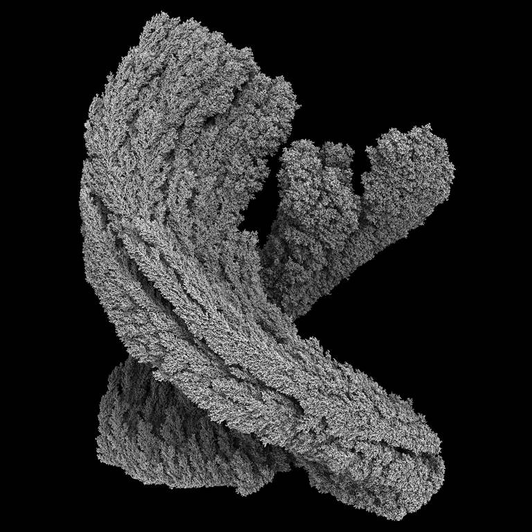 Andy Lomas - Alchetron, The Free Social Encyclopedia